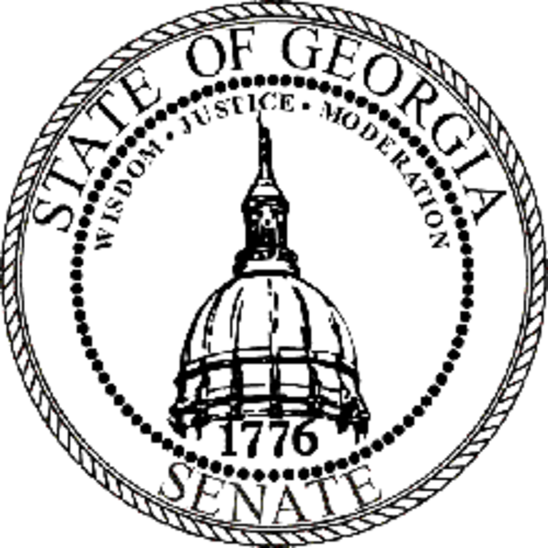 Georgia Rural Broadband Survey